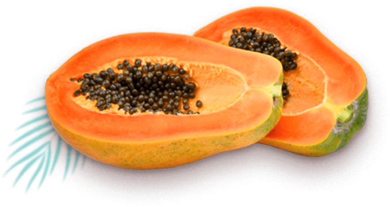 Australian Papaya – Tropical goodness all year round